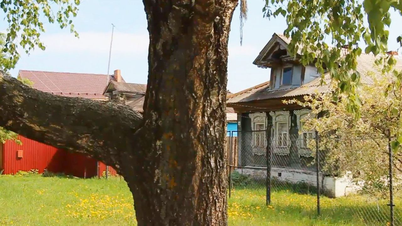 ПЕРВОМАЙСКАЯ ВЫСАДКА В ГРУНТ рассады ГАВАНЫ ГОЛД – 9 лет назад «Сады порока» 2 сез. 3 сер. 2 ч.