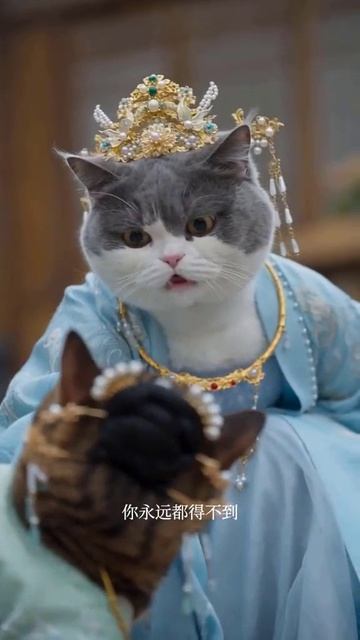 То, что тебе не принадлежит, ты не получишь.