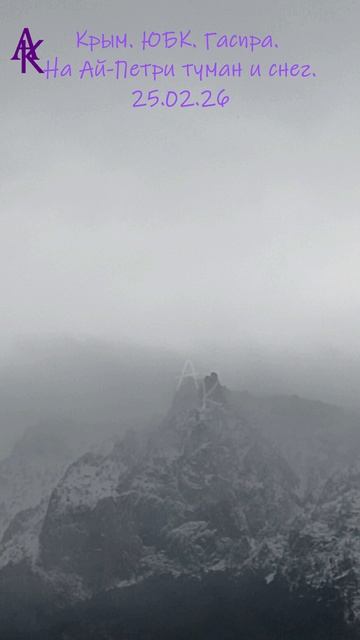 Крым. ЮБК. Гаспра. На Ай-Петри туман и снег. 25.02.26 #андрейкрымский #юбк #гаспра #blacksea #shorts