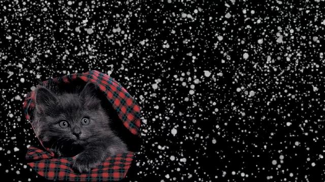 Вьюга кружится и злится. Звуки вьюги, завывание ветра