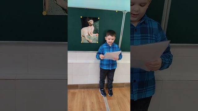 Годунко Артём 1В - Кошки породы сфинкс