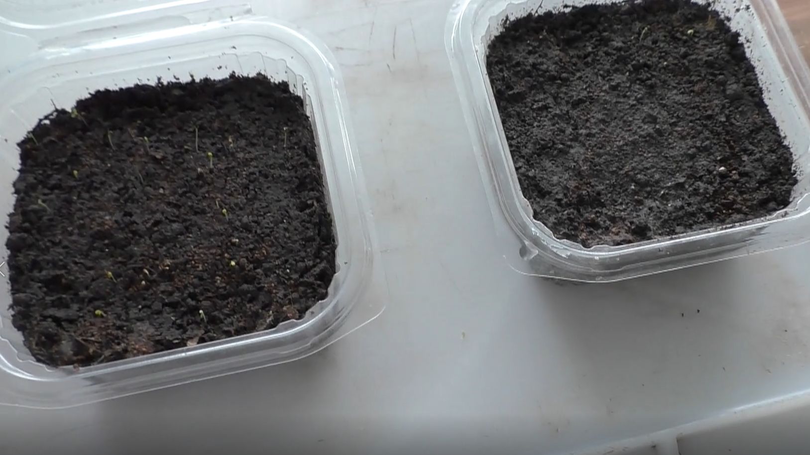 Советы по приготовлению рассадного грунта