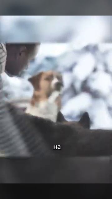 борьба за лидерство