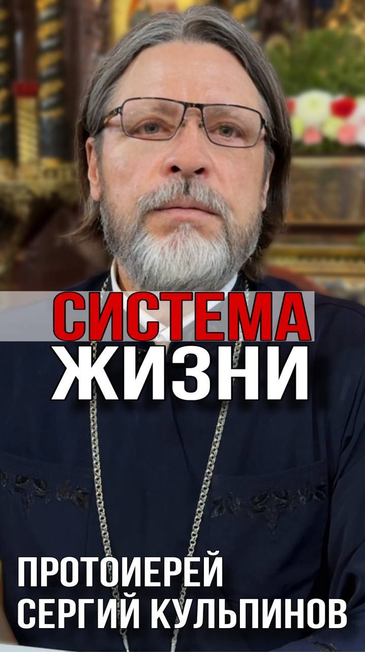 Система жизни