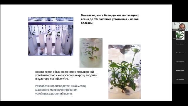 Звягинцев В.Б. Грибные инвазии в лесных экосистемах: прогнозирование, диагностика и контроль