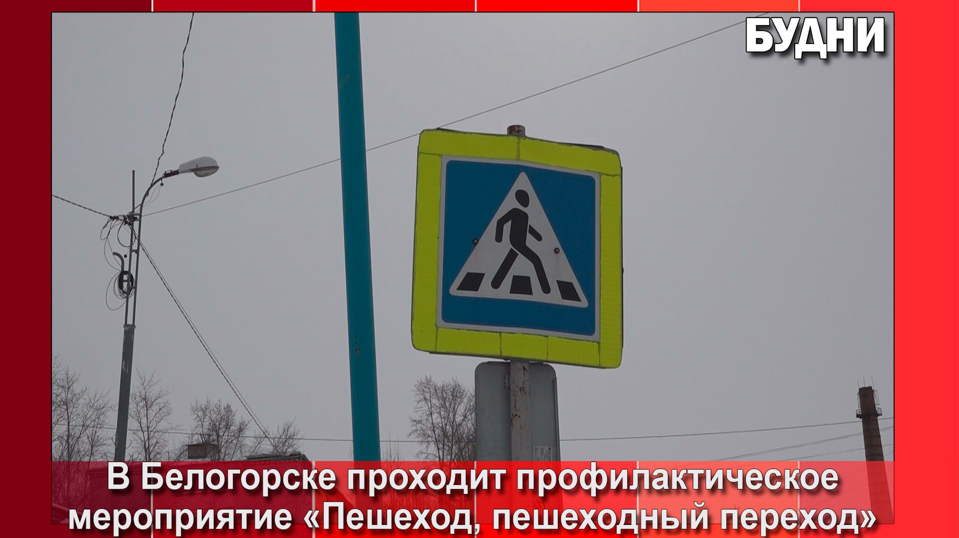 В Белогорске проходит профмероприятие «Пешеход, пешеходный переход»