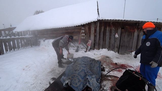 Один день с ниф ниф | Сельчане ТВ