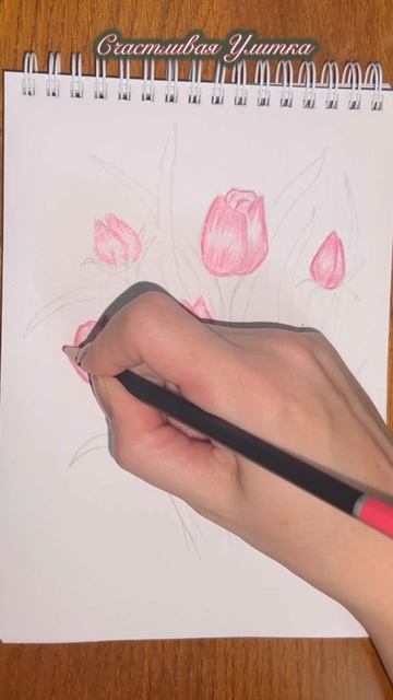 Рисунок карандашами Цветы