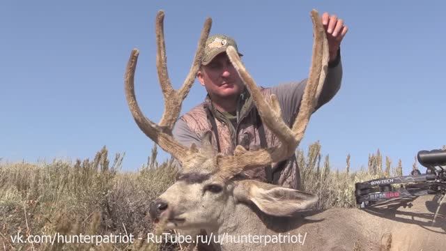 🎯🐃 Истманы стреляют из лука: 30 фантастически точных попаданий всего за 15 минут! 🔥