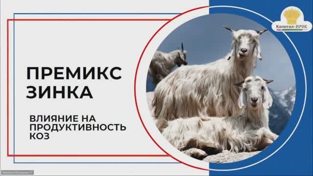 Премикс Зинка. Влияние на продуктивность коз
