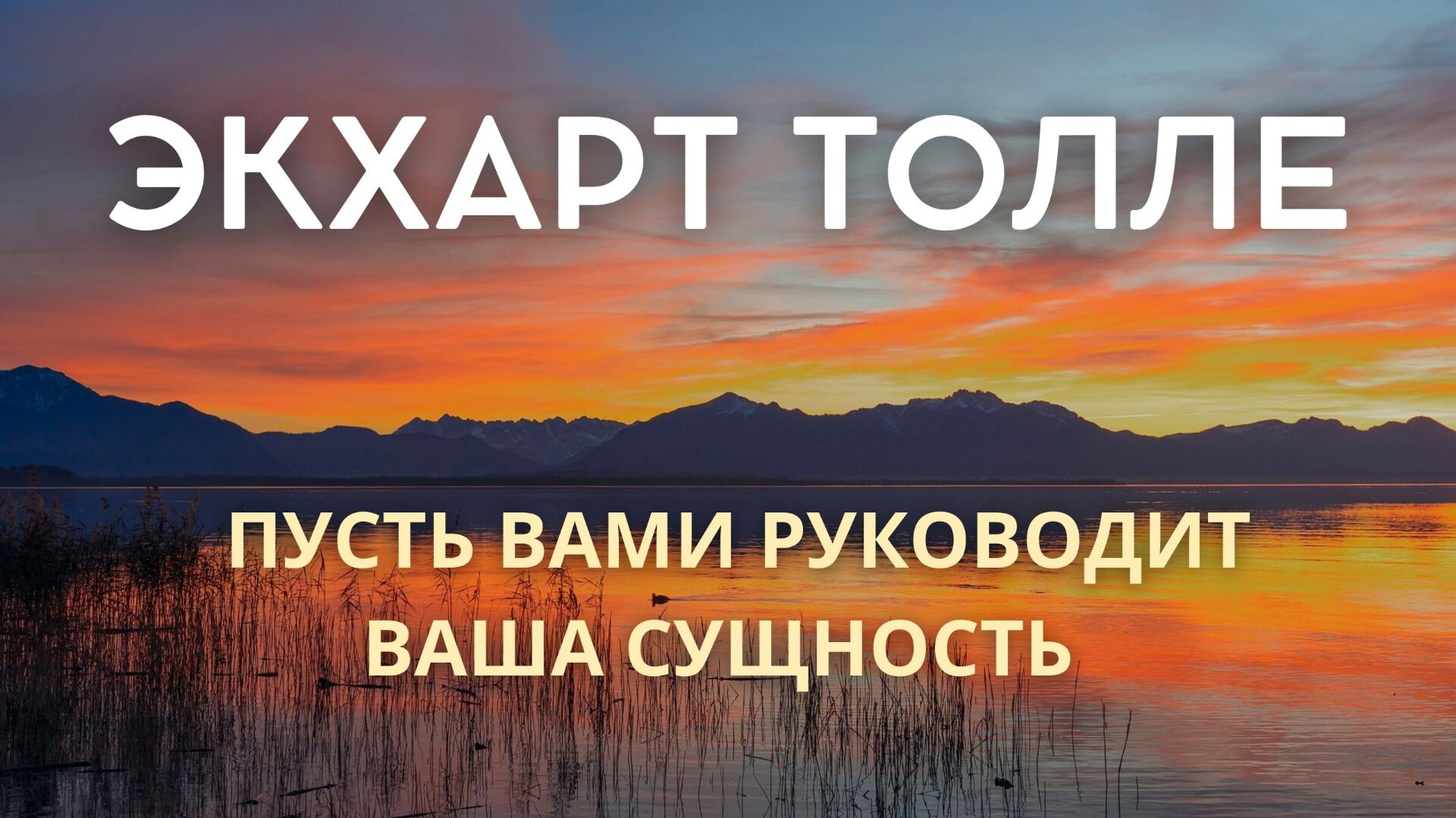 Действуй из сущности — не из страха. Экхарт Толле