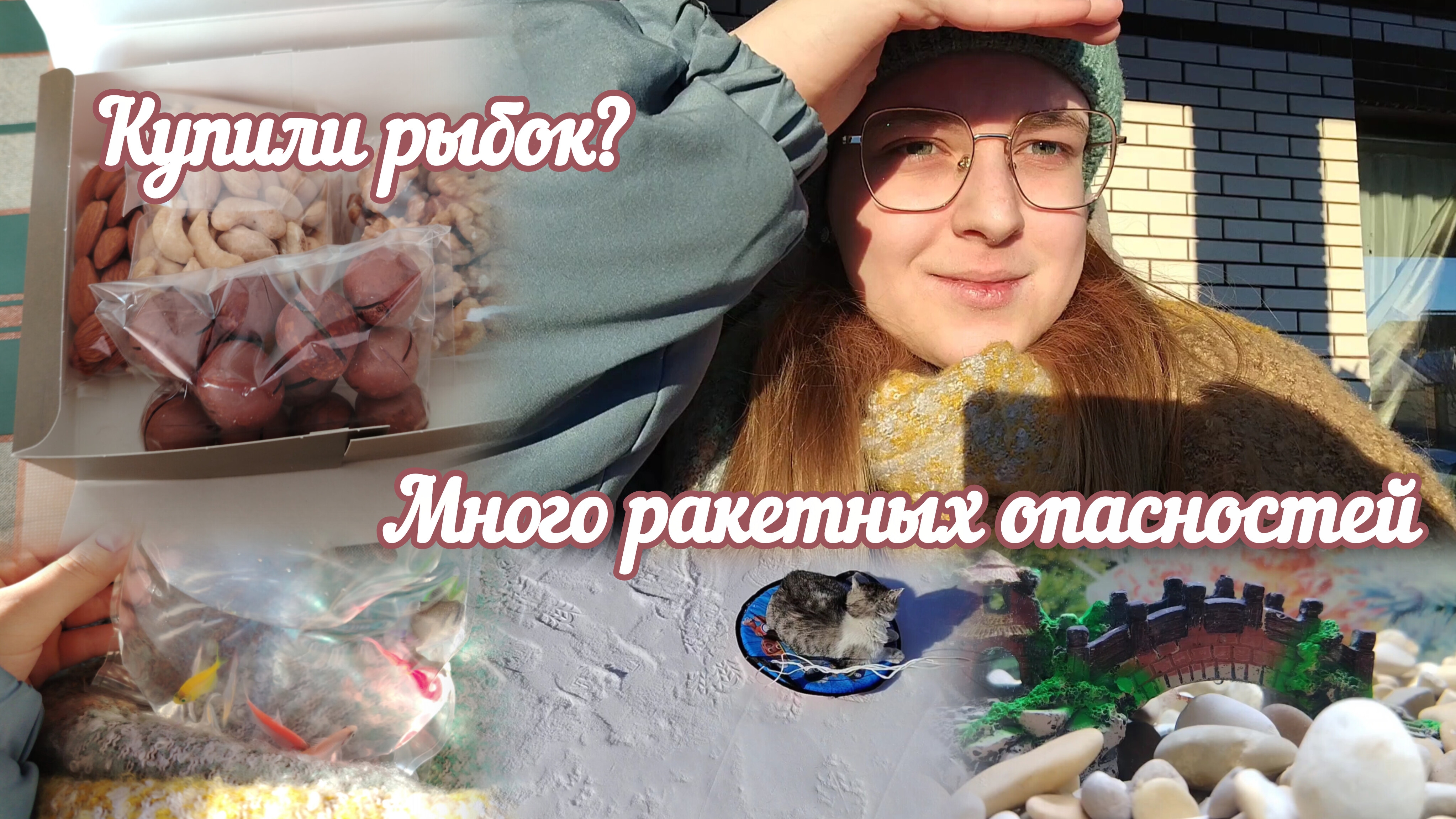 VLOG Много ракетных опасностей⚠️ Купили рыбок?🐟