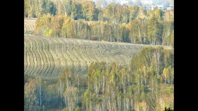 Август житом в полях расплескался - авторская песня