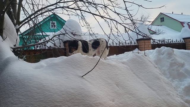 На высоте. At a height