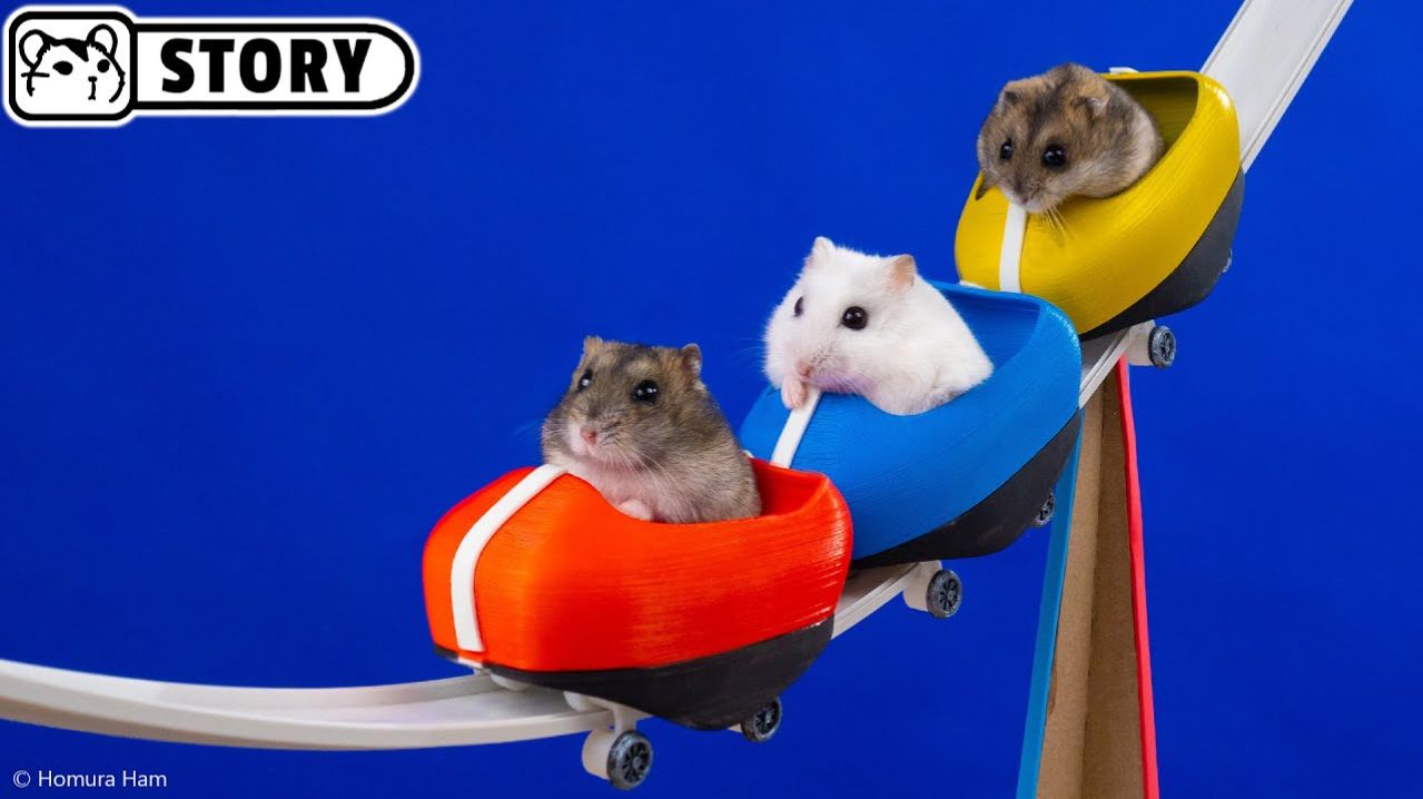 Хомяки на самых больших в мире американских горках в лабиринте парка развлечений 🐹 Хомяк Хомура