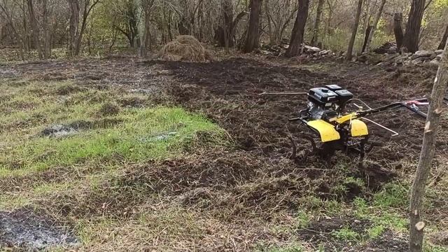 13 ноября 2023г.Мой дом.Культивируем часть участка.Посадила чеснок.