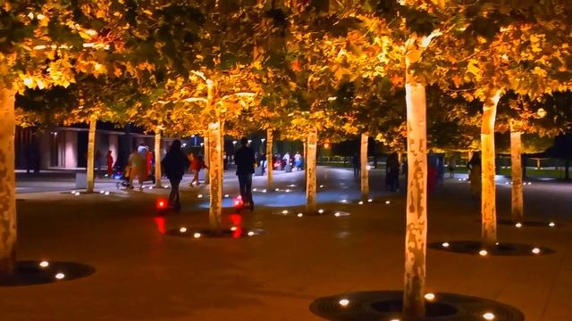 Краснодар 2021 вечером возле стадиона