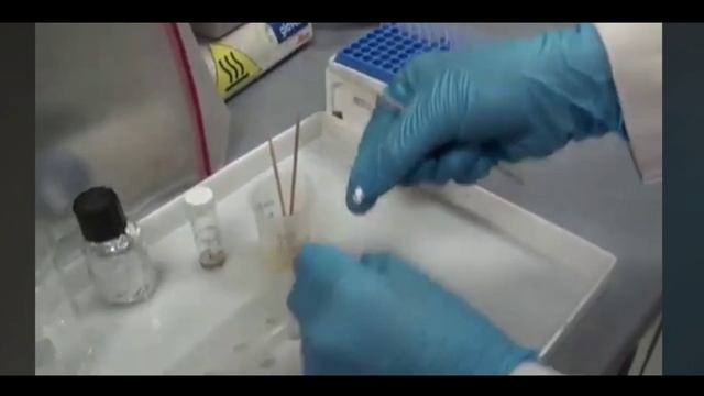 протокол ультрамикротомии от начала до конца на русском языке