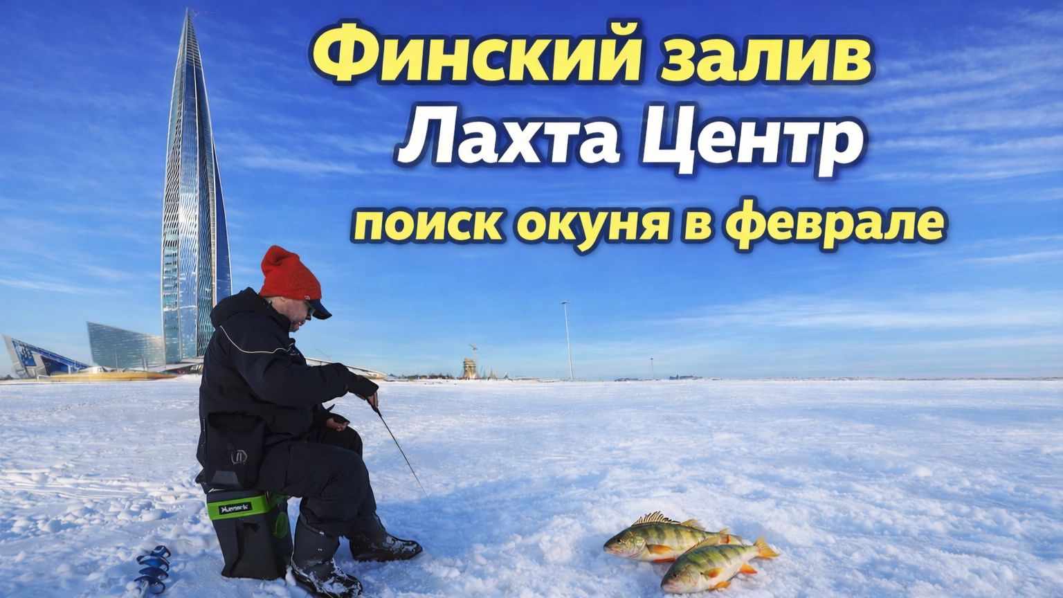 Финский залив. Лахта центр. Поиск окуня. Февраль 2026 .