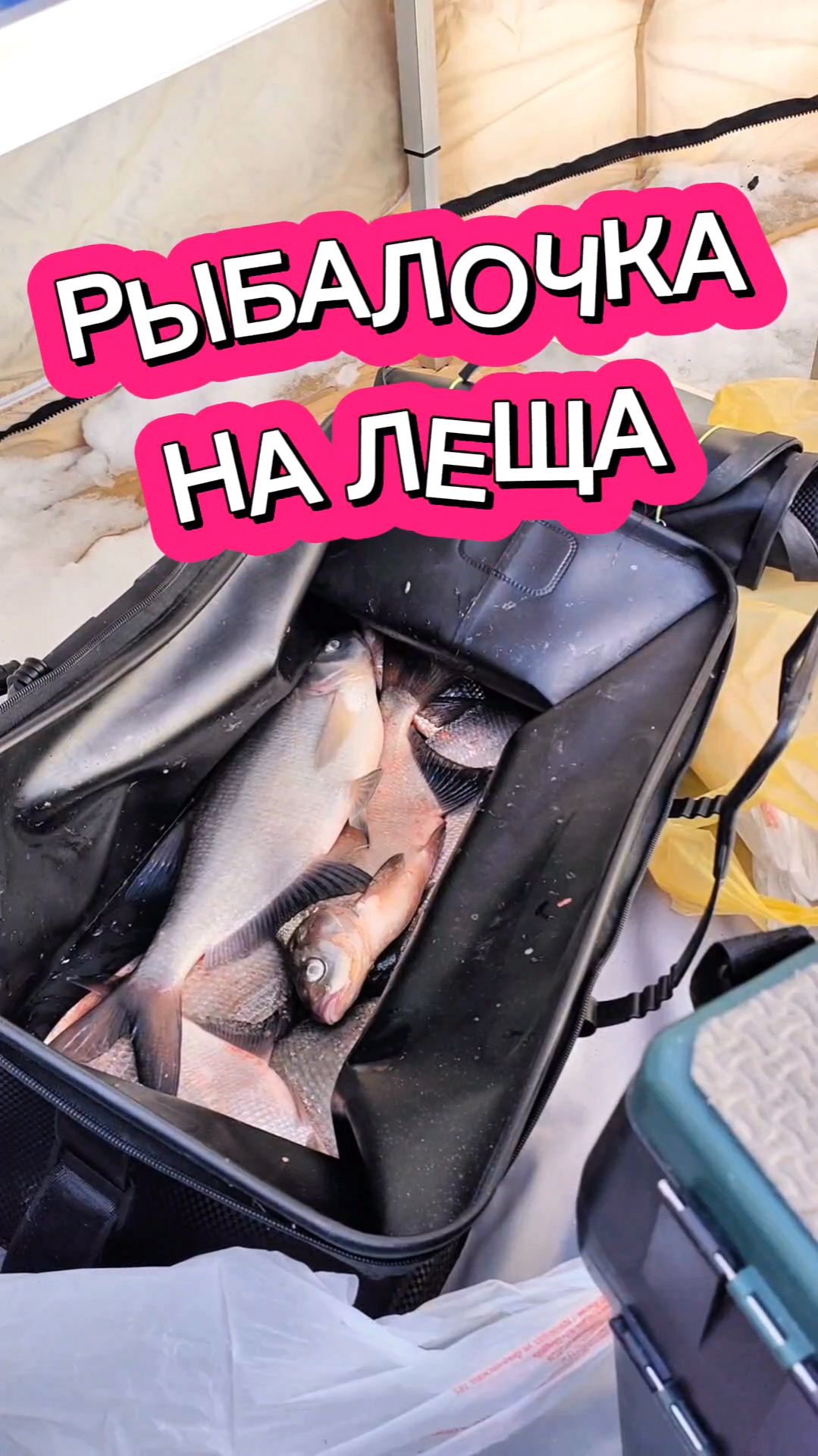 РЫБАЛОЧКА НА ЛЕЩА