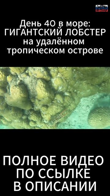 День 40 в море: ГИГАНТСКИЙ ЛОБСТЕР на удалённом тропическом острове ЧАСТЬ 2/11