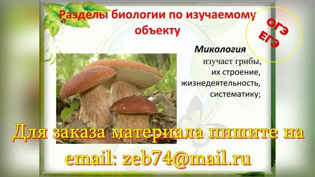 Презентация "Биология как наука"