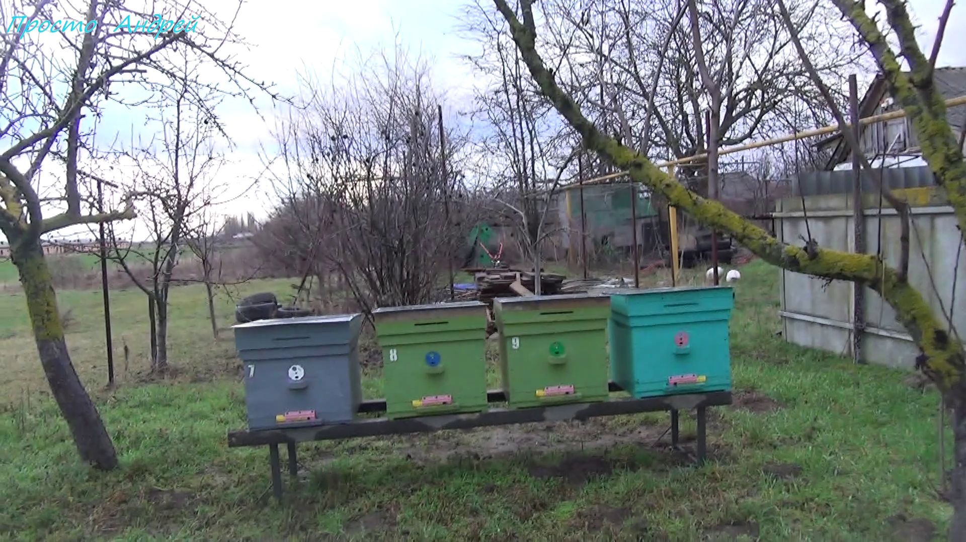 МОЯ пасека весеннее изменение