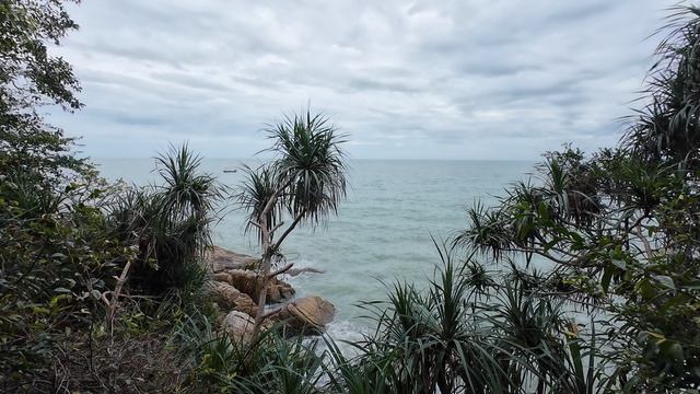 Пинанг, Pejabat Taman Negara,  парк море у тропинки. Малайзия. Декабрь 2025.