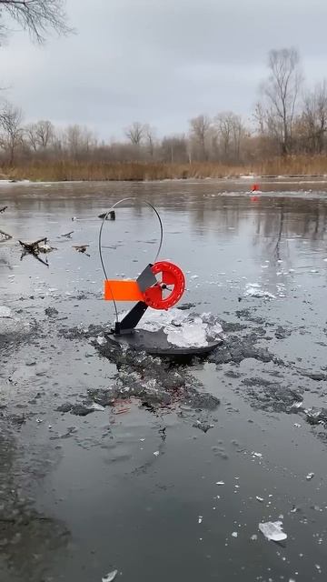 Щука на 8кг_!_🤔 Жерлицы  #первыйлед #жерлицы #рыбалка #fishing