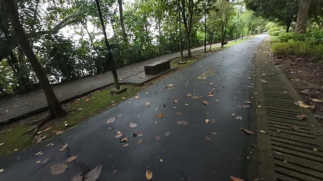 Сингапур, Woodlands Waterfront Park хожу по парку. Декабрь 2025
