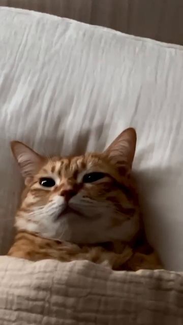 Медитирует