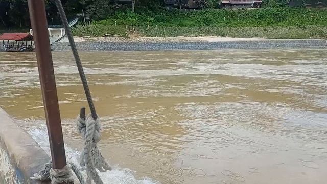 Малайзия, Таман Негара (Taman Negara) вид из лодки. Декабрь 2025.