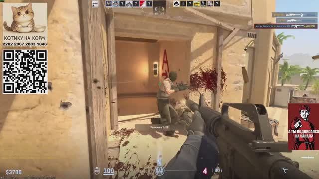 sergo_twitch_tv in Counter-Strike