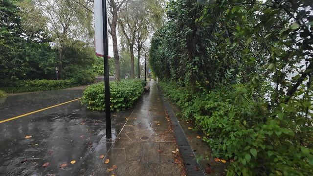 Сингапур, Gardens by the Bay  тропинка к marina bay garden. Декабрь 2025