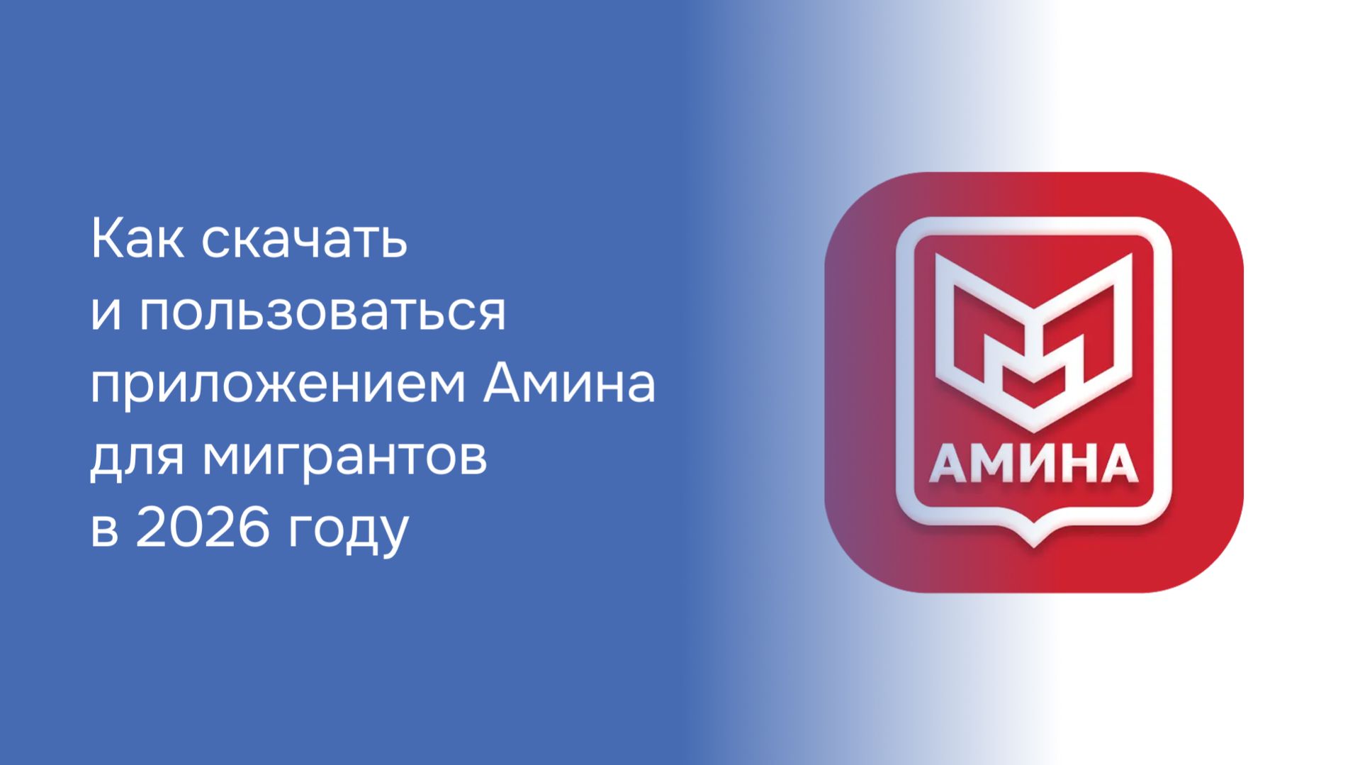 Как скачать и пользоваться приложением Амина для мигрантов в 2026 году