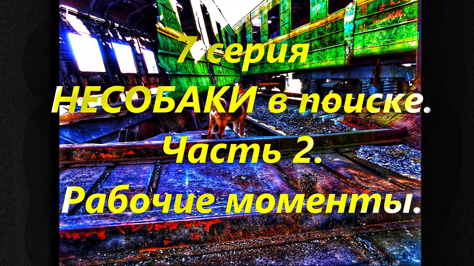 История одной НЕСОБАКИ  7 серия "НЕСОБАКИ в поиске" Часть 2. Рабочие моменты.