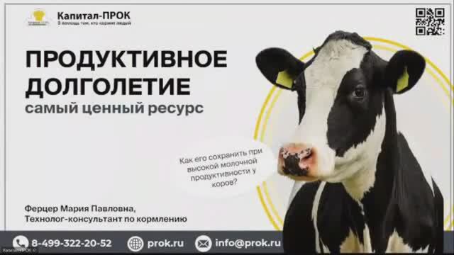 Продуктивное долголетие коров без мифов