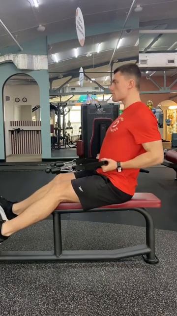 Тяга горизонтального блока отдельными рукоятками