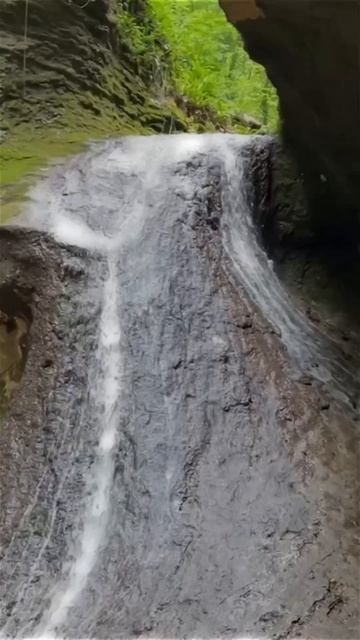 Баракаевская