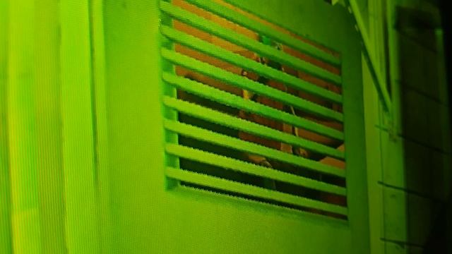 разрабы вы чего?