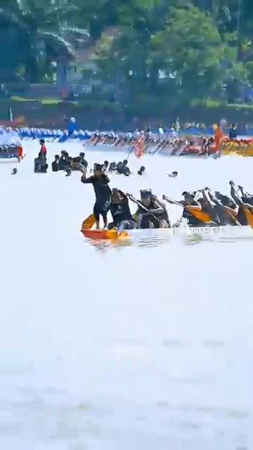 When tradition moves at high speed the young Pacu Jalur jockey jumps in legendar