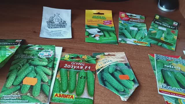 Обзор семян огурцов на сезон 26 года// мой опыт и не только.