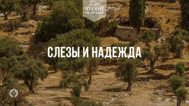 СЛЕЗЫ И НАДЕЖДА  | АУДИО |	29	  марта 2026