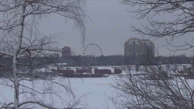 2024 Лета. 27.01 Химкинский парк