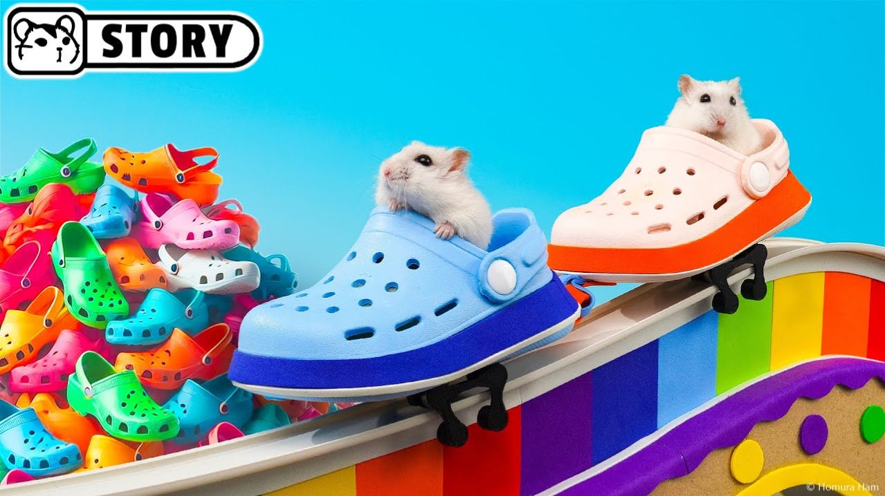 Хомяки в лабиринте обувной фабрики Crocs 🐹 Хомяк Хомура