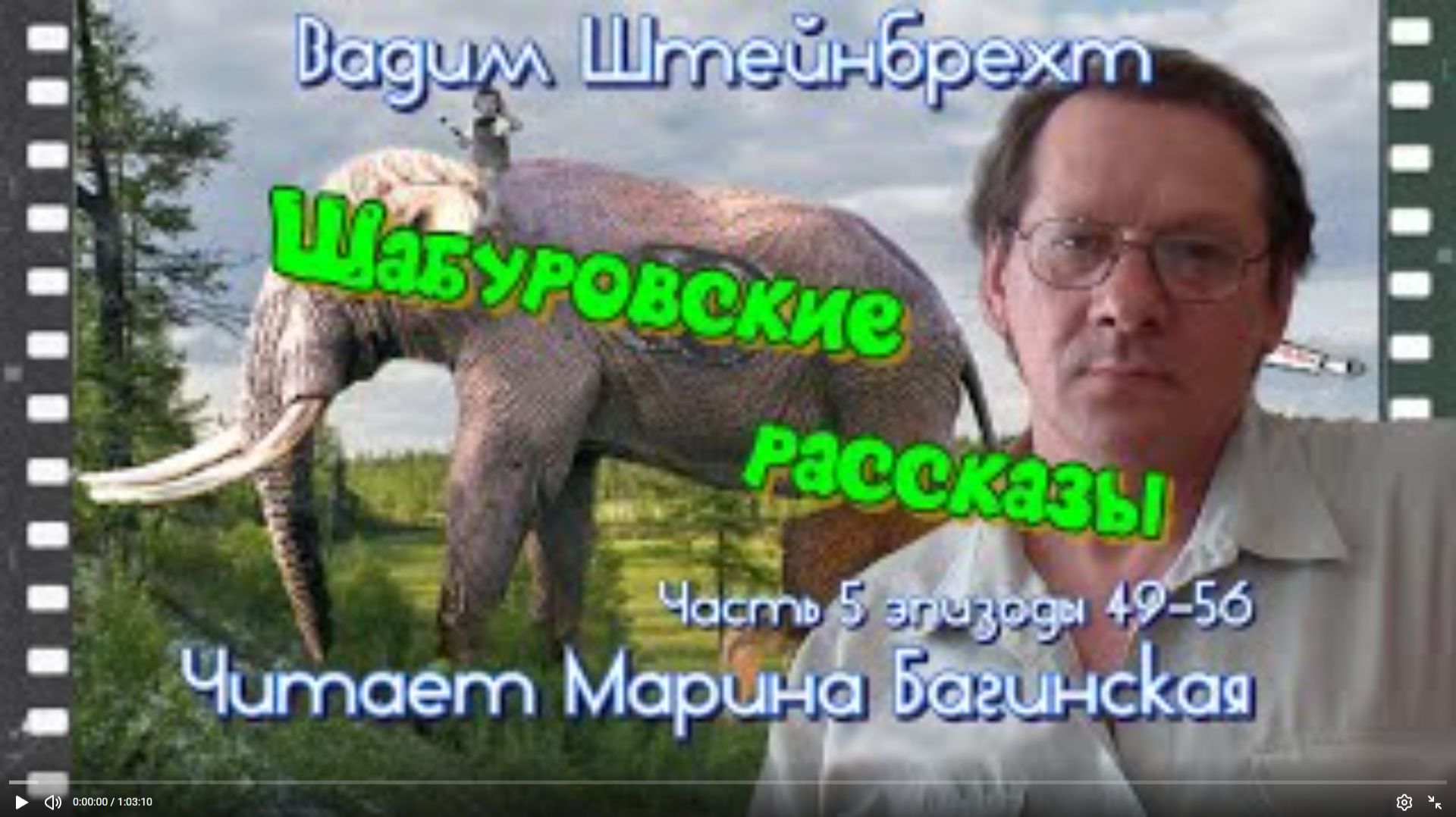 Вадим Штейнбрехт _Шабуровские рассказы_ 5 часть эпизоды 49-56 Читает Марина Багинская