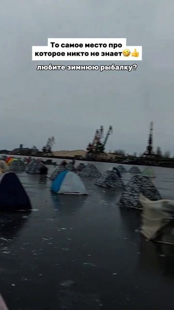 Ставь 👍🏻🔥  #рыбалка #рыбак #сом #улов #карп #карась #щука #судак #фидер #спиннинг #ловлящуки