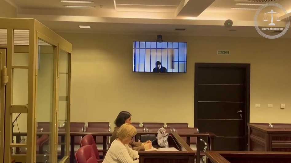 В Сочи организатора незаконной миграции приговорили к шести годам колонии