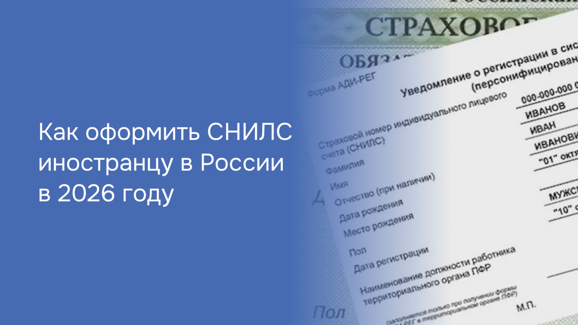 Как оформить СНИЛС иностранцу в России в 2026 году