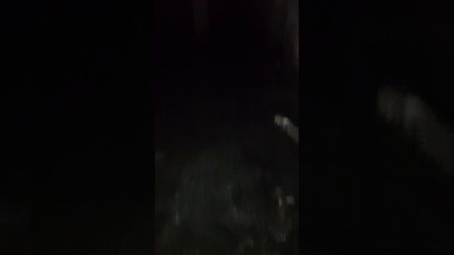 Три вопроса